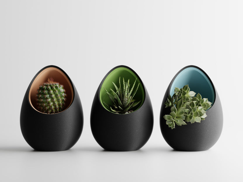 Planters – Mind Creation 3D